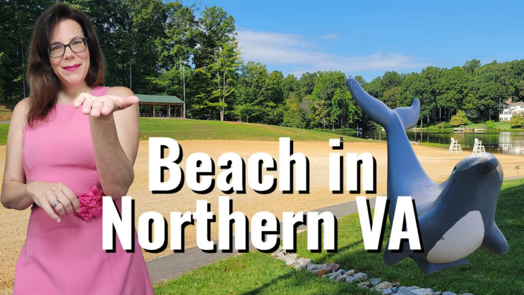 Exploring Dolphin Beach in Montclair: A Hidden Gem in Northern Virginia ...